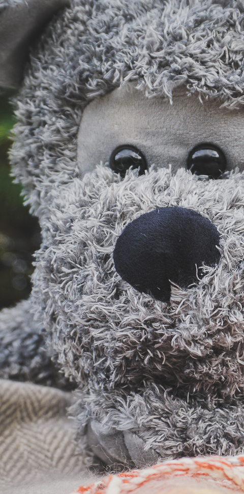 Make Your Own Stuffed Animal | Stuffable Animal Kits | The Zoo Factory